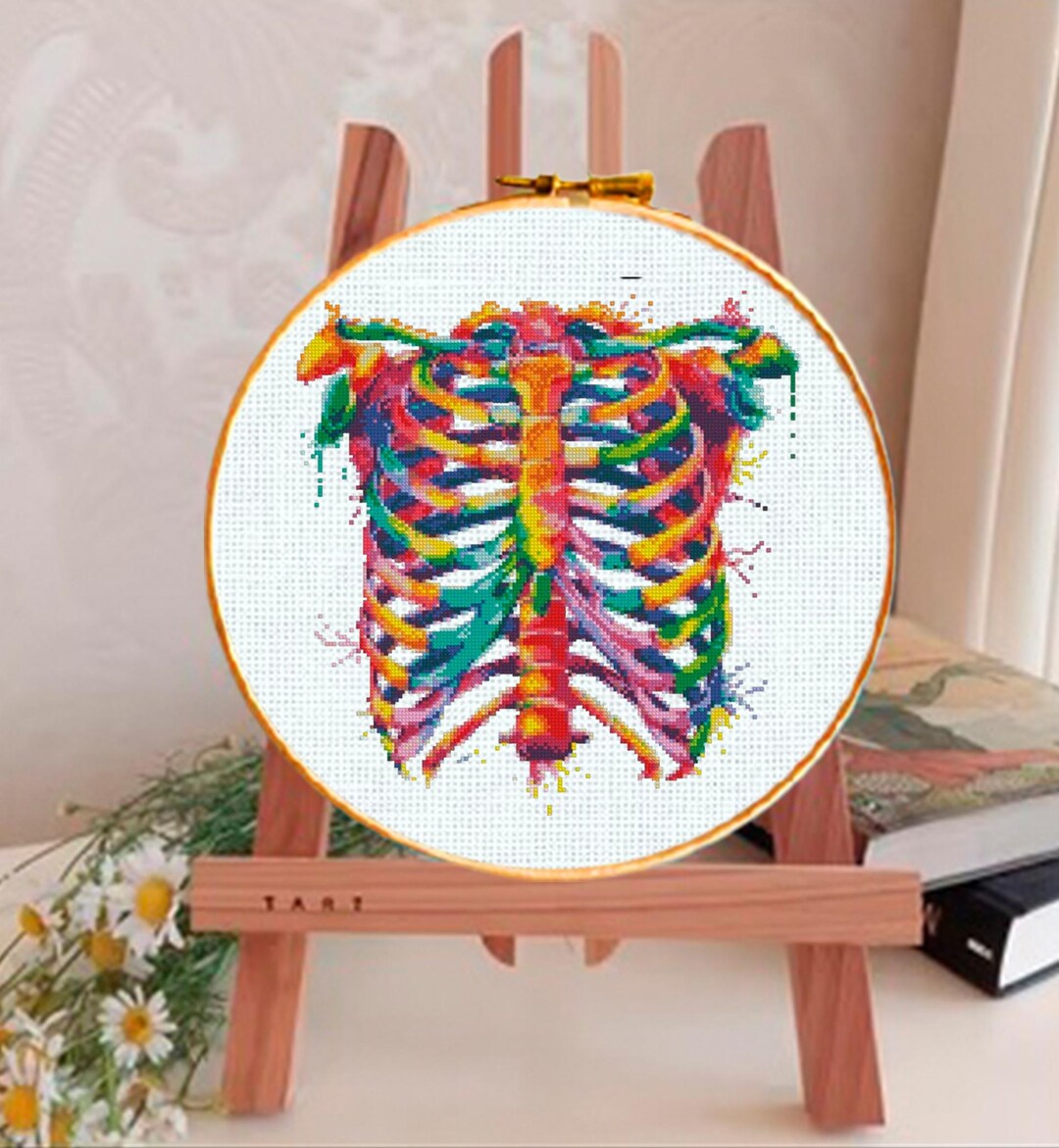 Colored Ribs, Skeleton Cross Stitch Patterns, Pattern Keeper, Anatomy ...