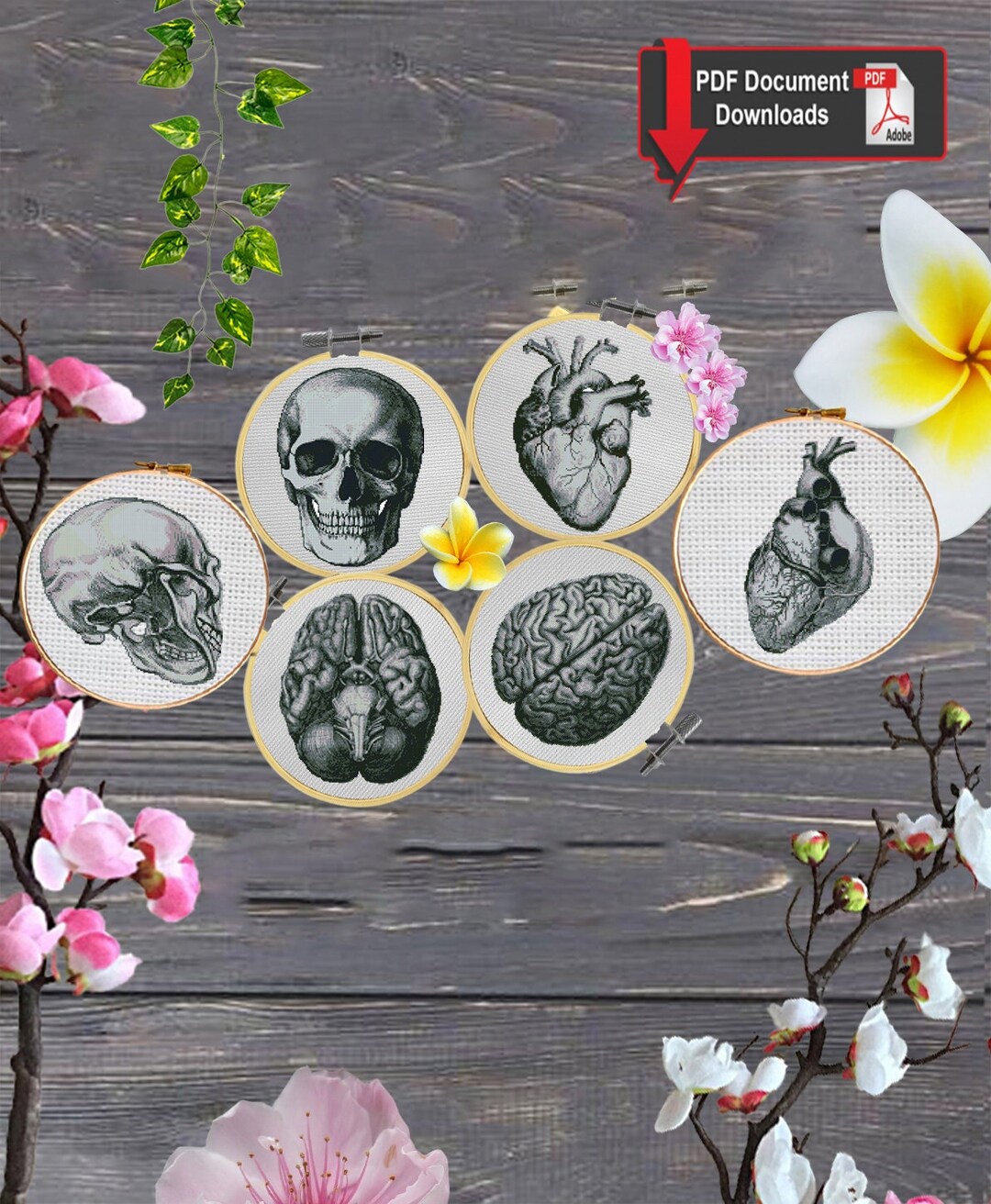 SET Black and White Anatomy of the Skull, Brain Inside, Heart Stitch ...