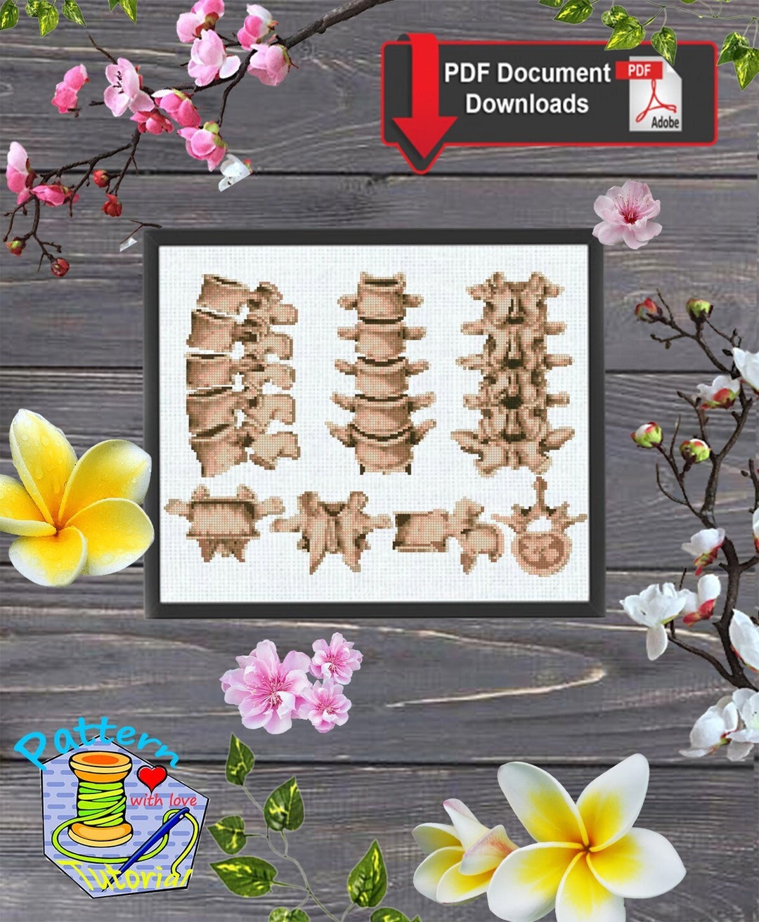 Vertebral Bones, the Structure of the Vertebra Cross Stitch Pattern ...