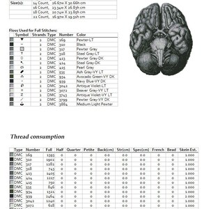 SET Black and White Anatomy of the Skull, Brain Inside, Heart Stitch ...