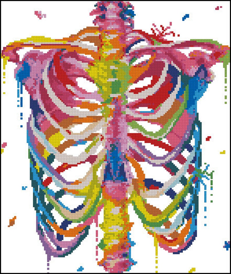 Colored Ribs, Skeleton Cross Stitch Patterns, Pattern Keeper, Anatomy ...