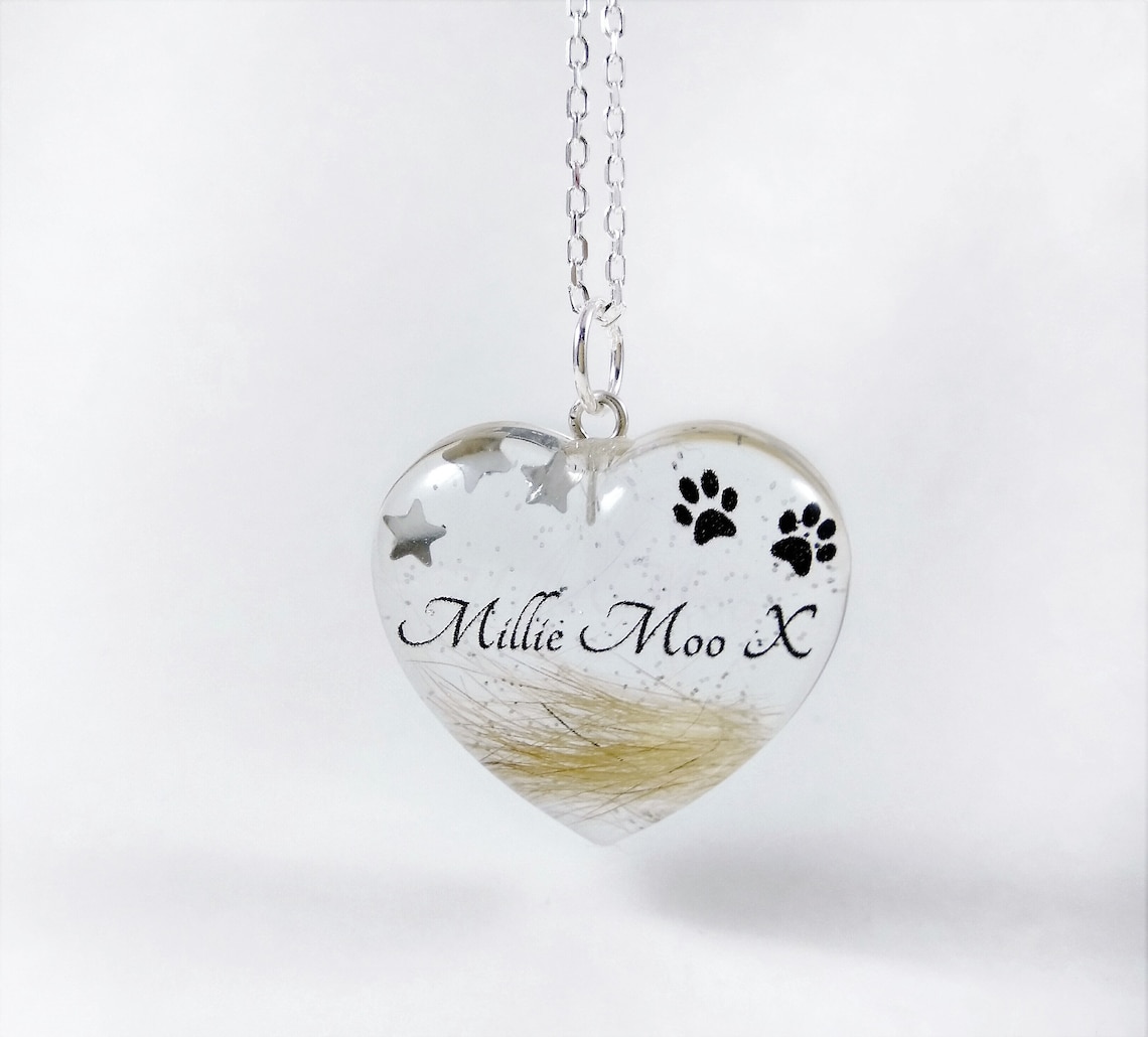 Custom Pet Hair Keepsake Heart Memorial Locket Pet Loss | Etsy