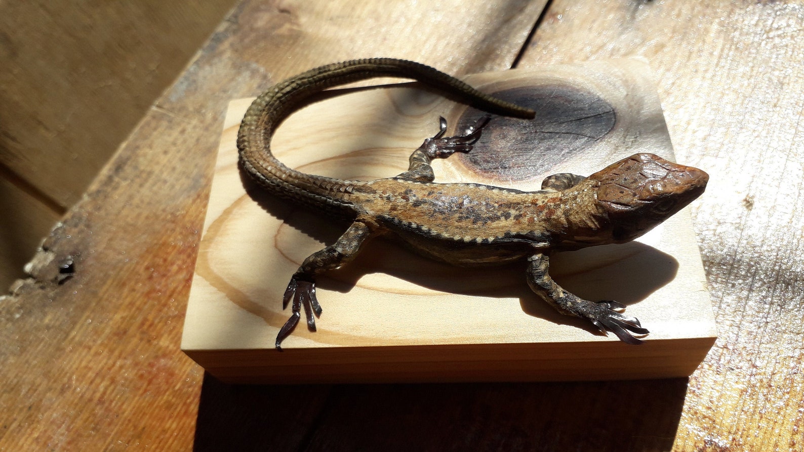 Wooden Lizard Sculpture Handmade Lizard Statue Natural Size - Etsy