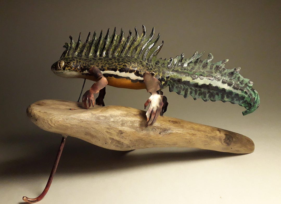 Wooden Newt Sculpture, Amphibian Art, Newt Figure for Sale, Gift for ...