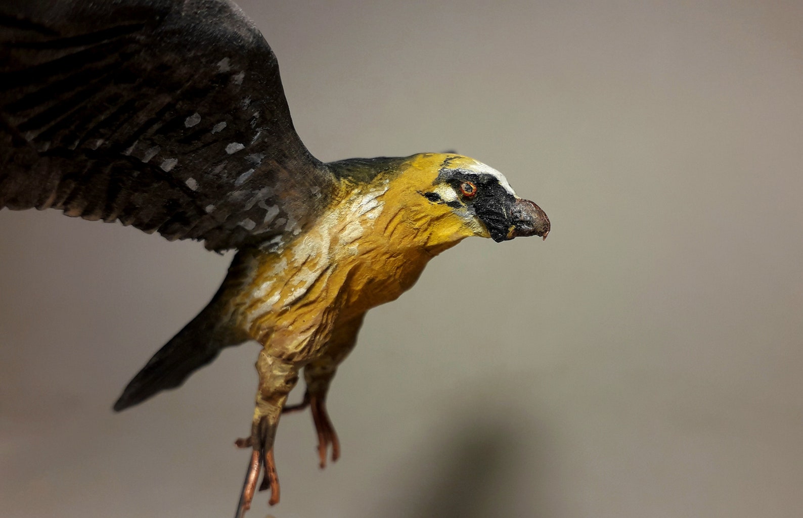 Vulture Sculpture Bird Carving Wooden Bird Statue Bird of - Etsy