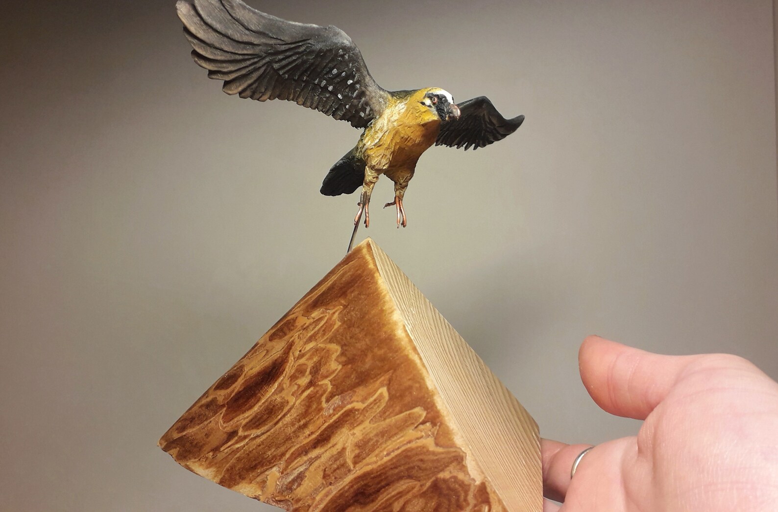 Vulture Sculpture Bird Carving Wooden Bird Statue Bird of - Etsy