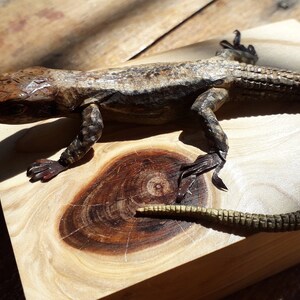Wooden Lizard Sculpture, Handmade Lizard Statue, Natural Size, Animal ...