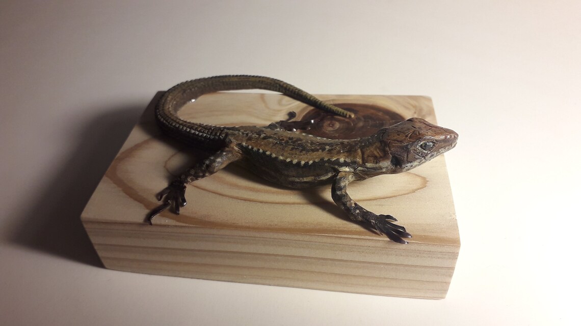 Wooden Lizard Sculpture Handmade Lizard Statue Natural Size - Etsy