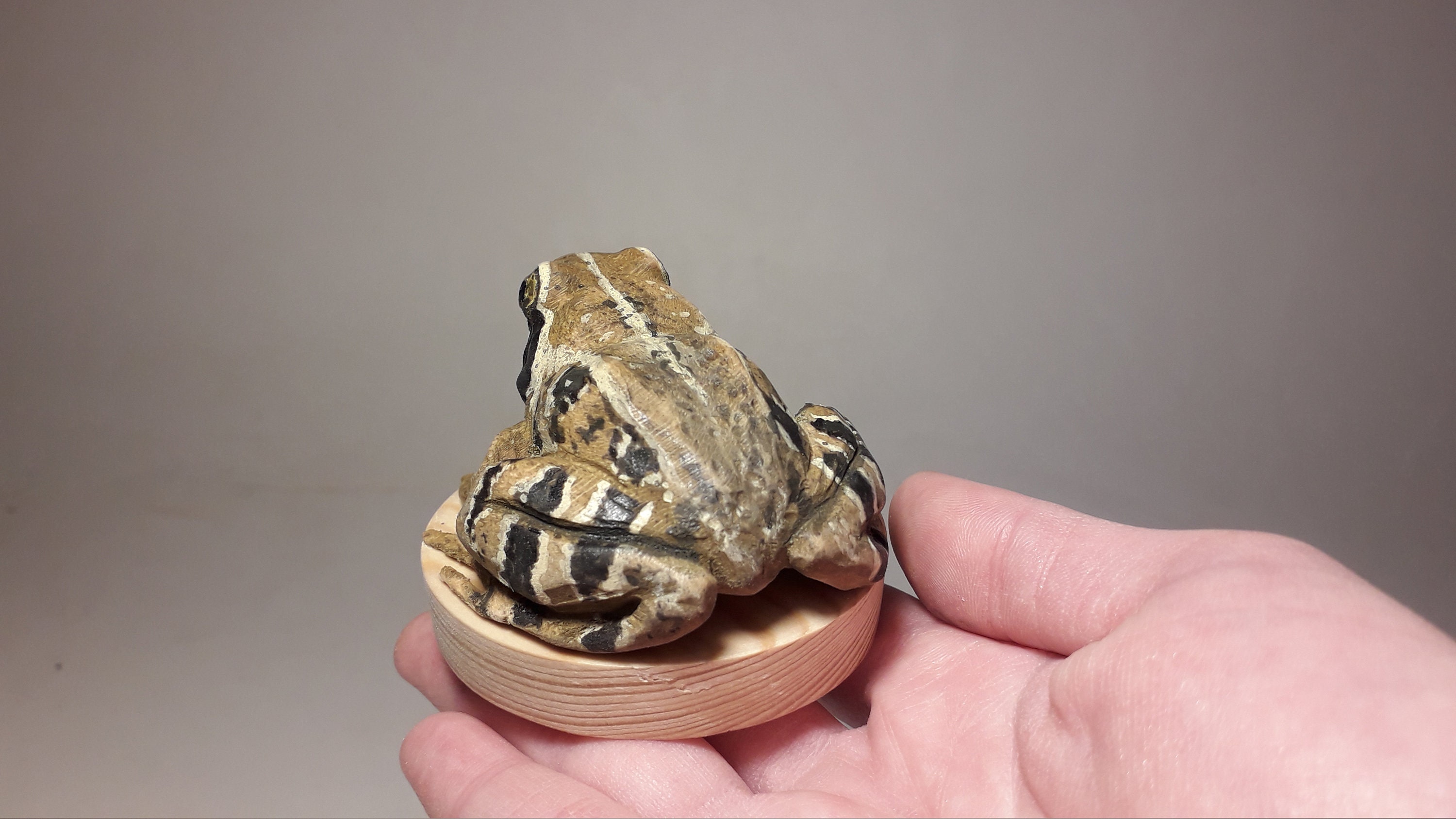 Wooden Frog Sculpture Handmade Realistic Figure Detailed - Etsy