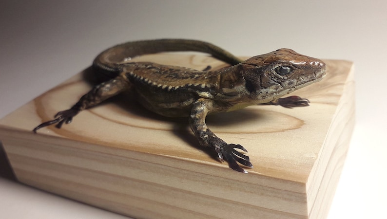 Wooden Lizard Sculpture Handmade Lizard Statue Natural Size - Etsy