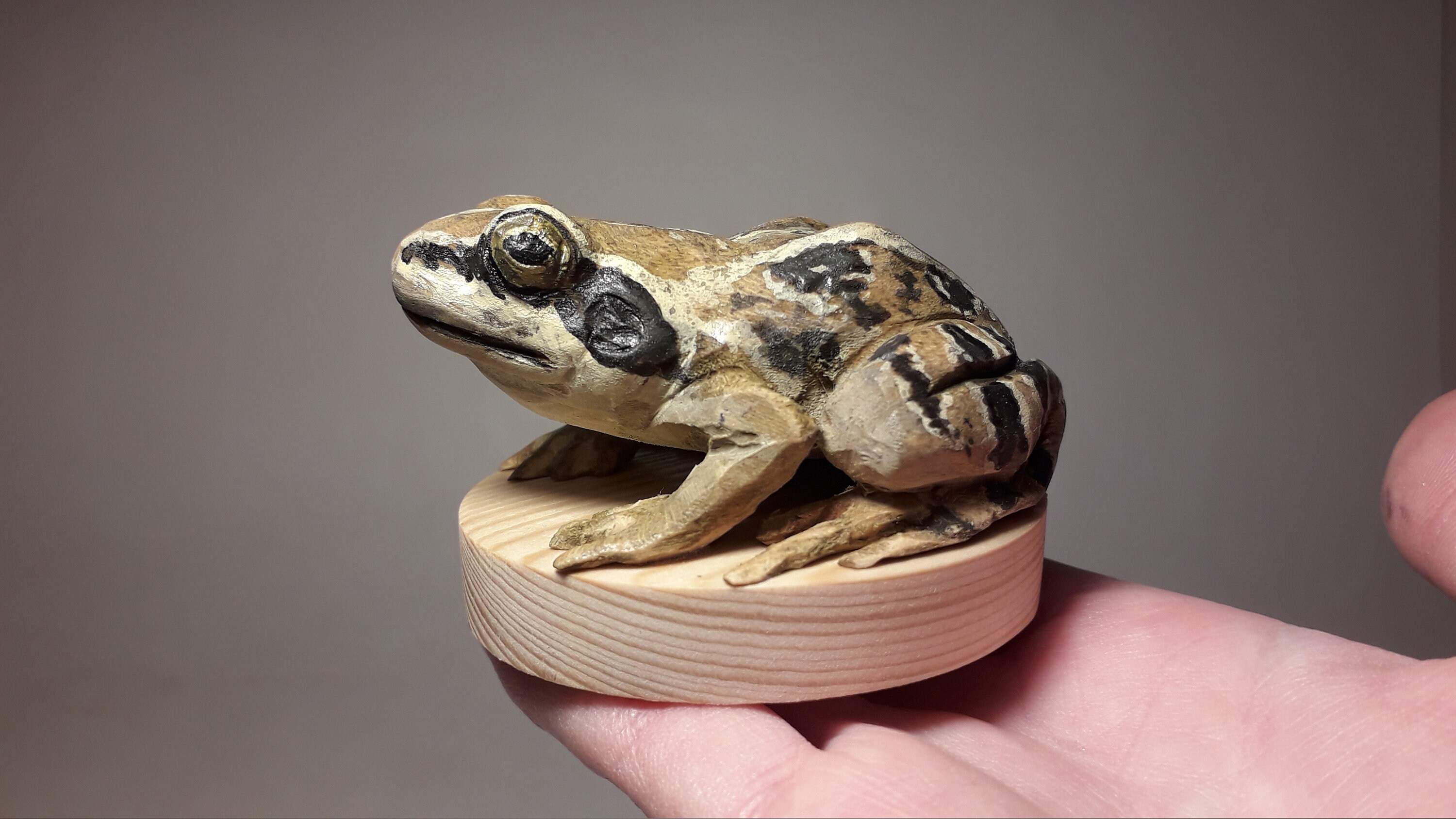 Wooden Frog Sculpture Handmade Realistic Figure Detailed - Etsy