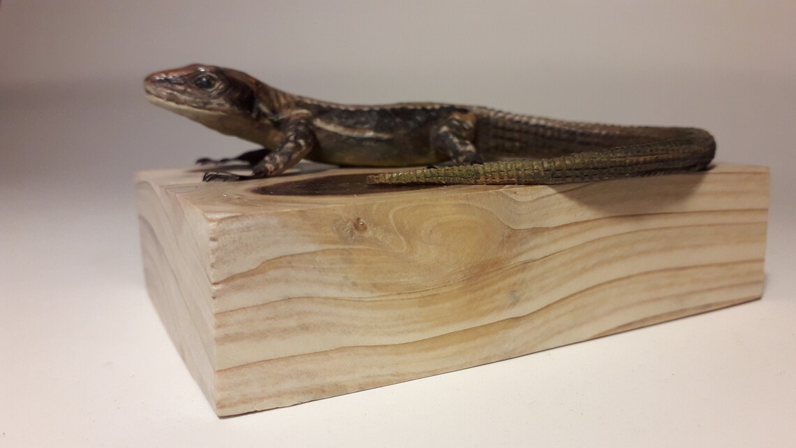 Wooden Lizard Sculpture Handmade Lizard Statue Natural Size - Etsy