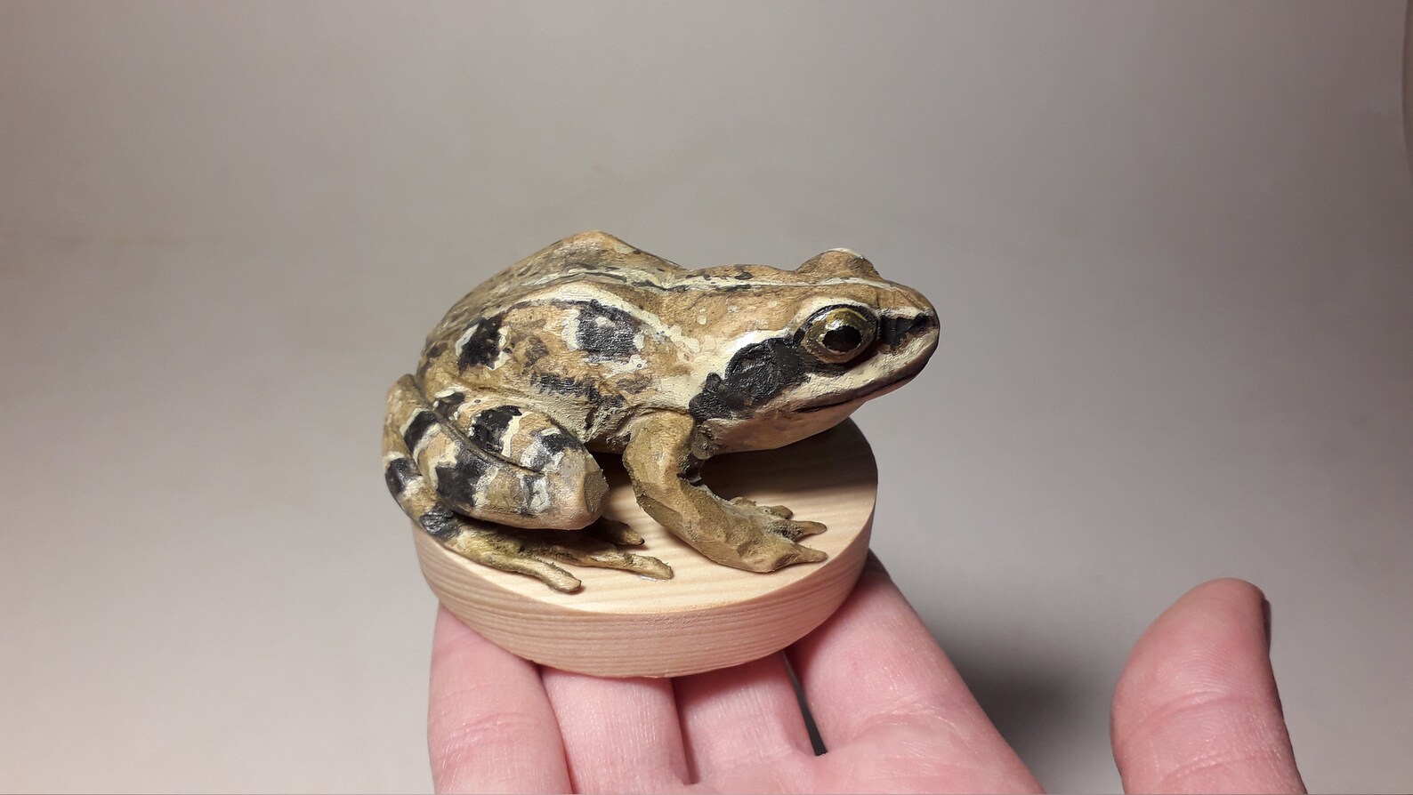 Wooden Frog Sculpture Handmade Realistic Figure Detailed - Etsy