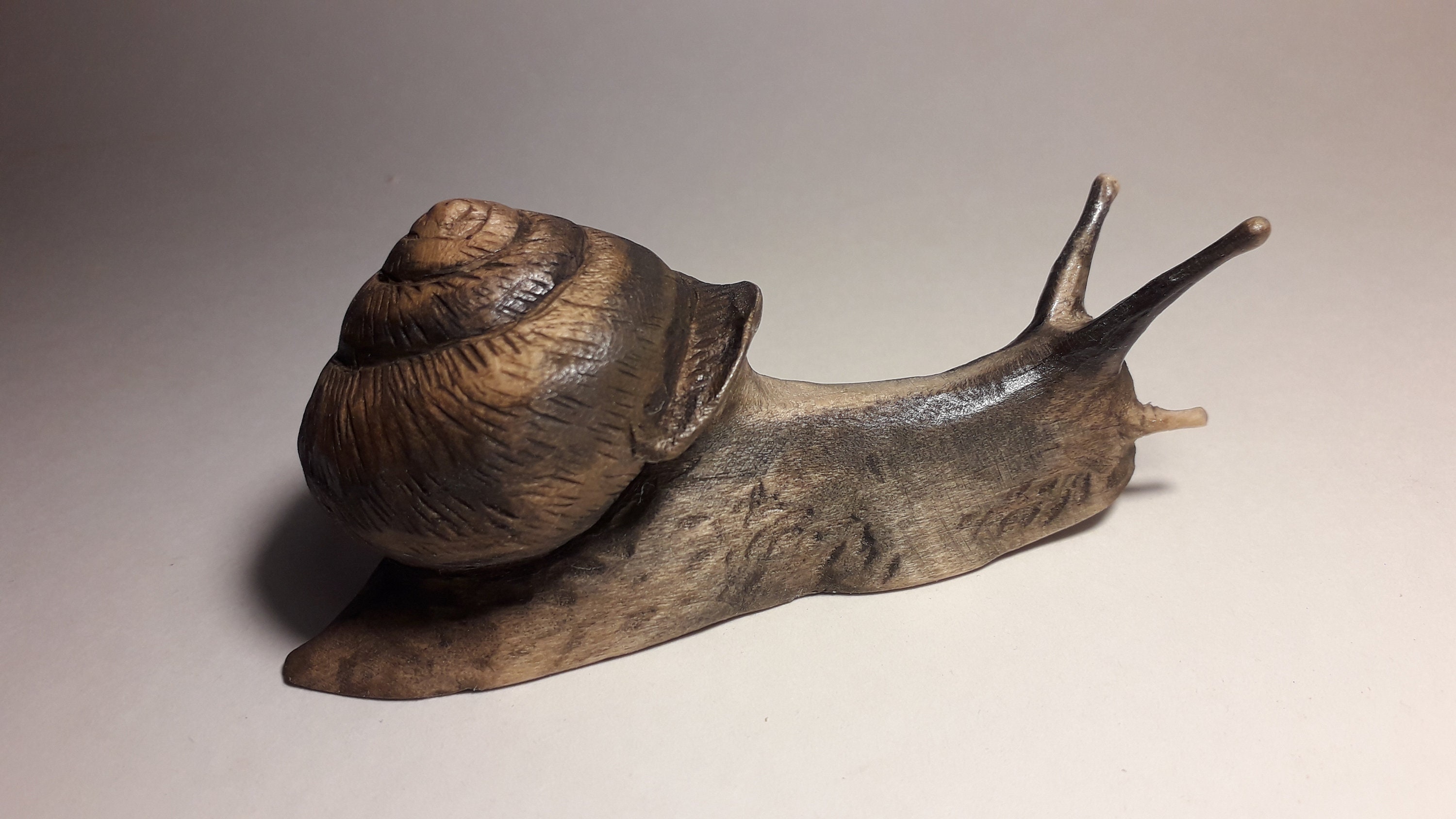 Wooden snail detailed figurine naturalistic snail wildlife | Etsy