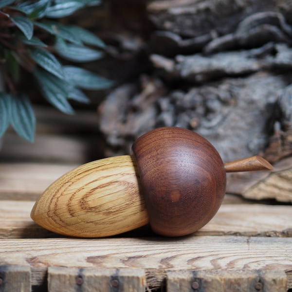 Miniature Acorns - Etsy