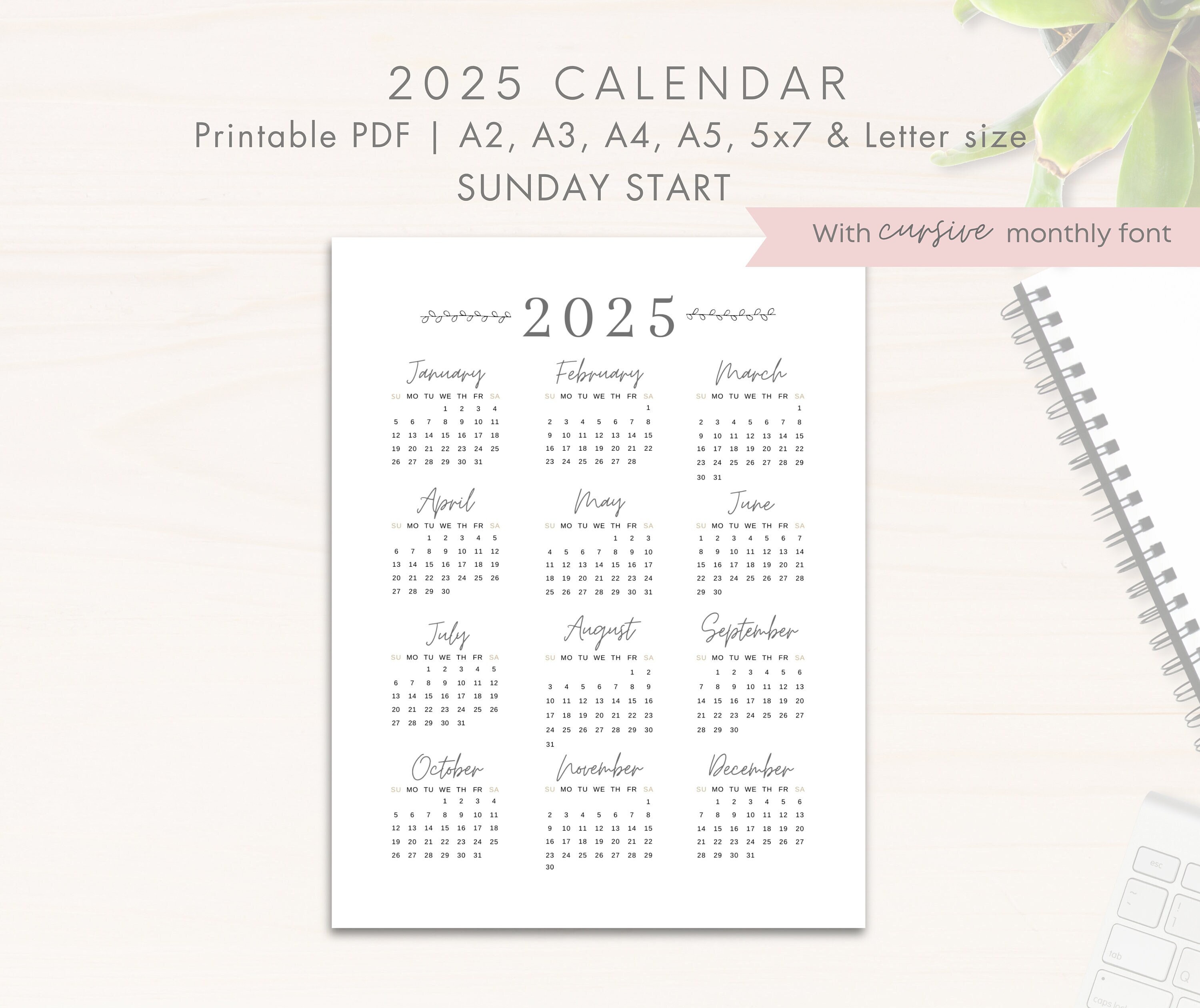 2025 Year Calendar Printable, SUNDAY Start, Year Overview 2025, One ...