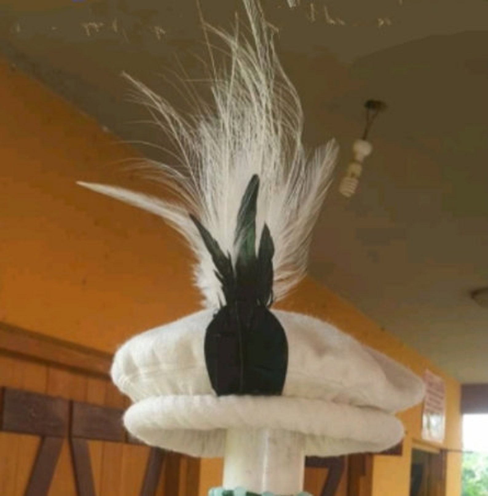 Traditional Pakol Hat Pakol Cap Tribal Hat Tribal Cap Wool Hat - Etsy