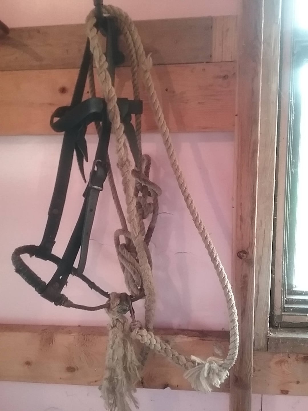 One of a Kind Handmade Hackamore From Entirely Recycled Materials ...