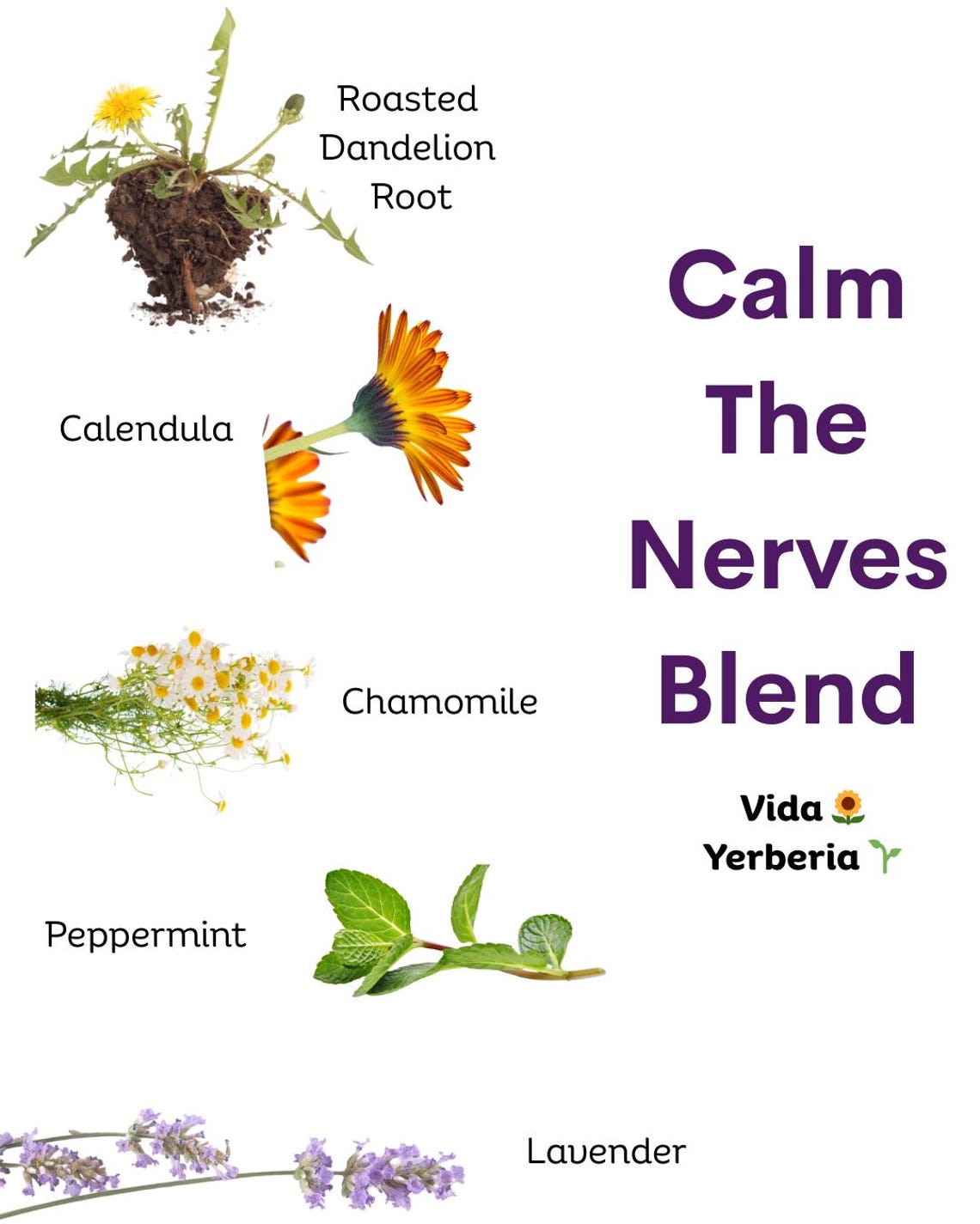 Calm the Nerves Tea | Calma Nervios Te - Etsy