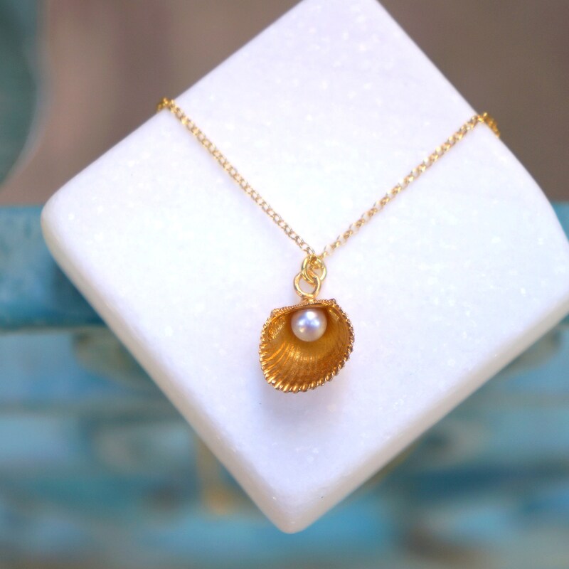 Sea Shell Necklace - Etsy