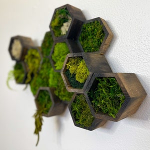 Hexagon Moss Hanging Sculpture Living Wall Art Preserved Moss Hexagonal ...
