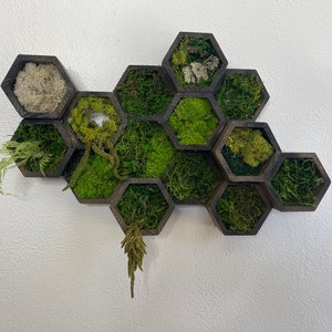 Hexagon Moss Hanging Sculpture Living Wall Art Preserved Moss Hexagonal ...