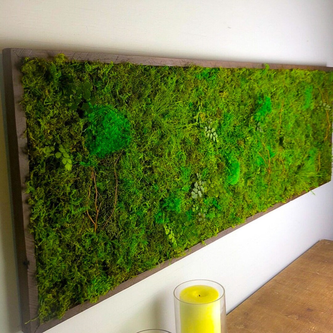 Moss Wall Art, Large Living Wall, Preserved Moss Artwork, Framed Moss ...