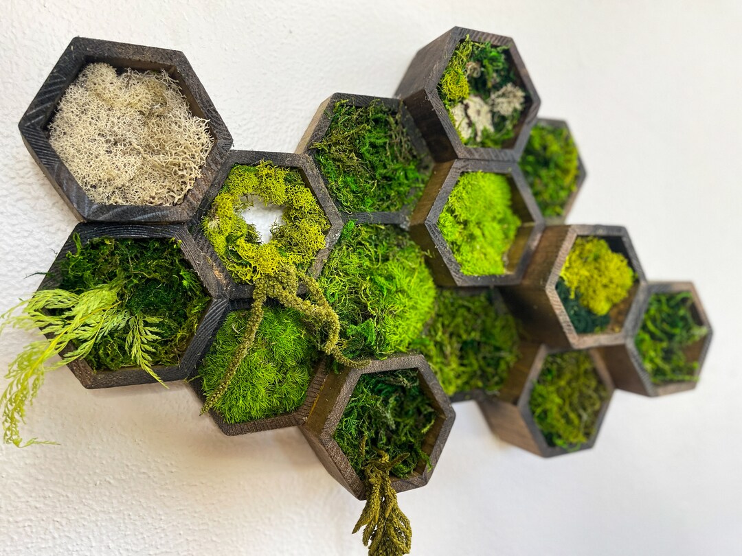 Hexagon Moss Hanging Sculpture Living Wall Art Preserved Moss Hexagonal ...