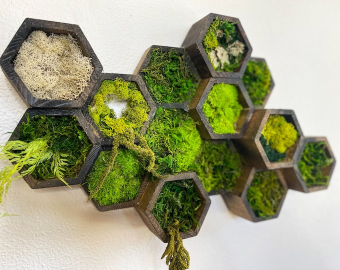 Hexagon Moss Hanging Sculpture Living Wall Art Preserved Moss Hexagonal ...