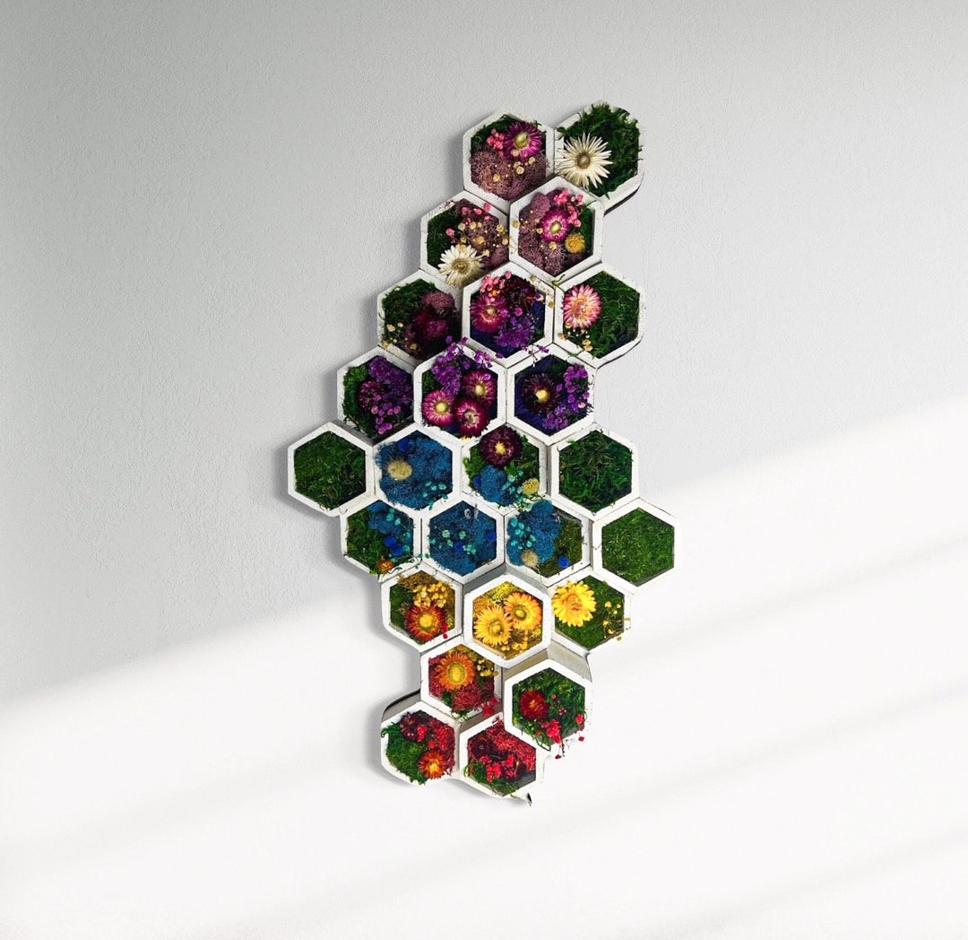 Hexagon Hanging Moss Sculpture Living Wall Art Preserved Moss Rainbow ...
