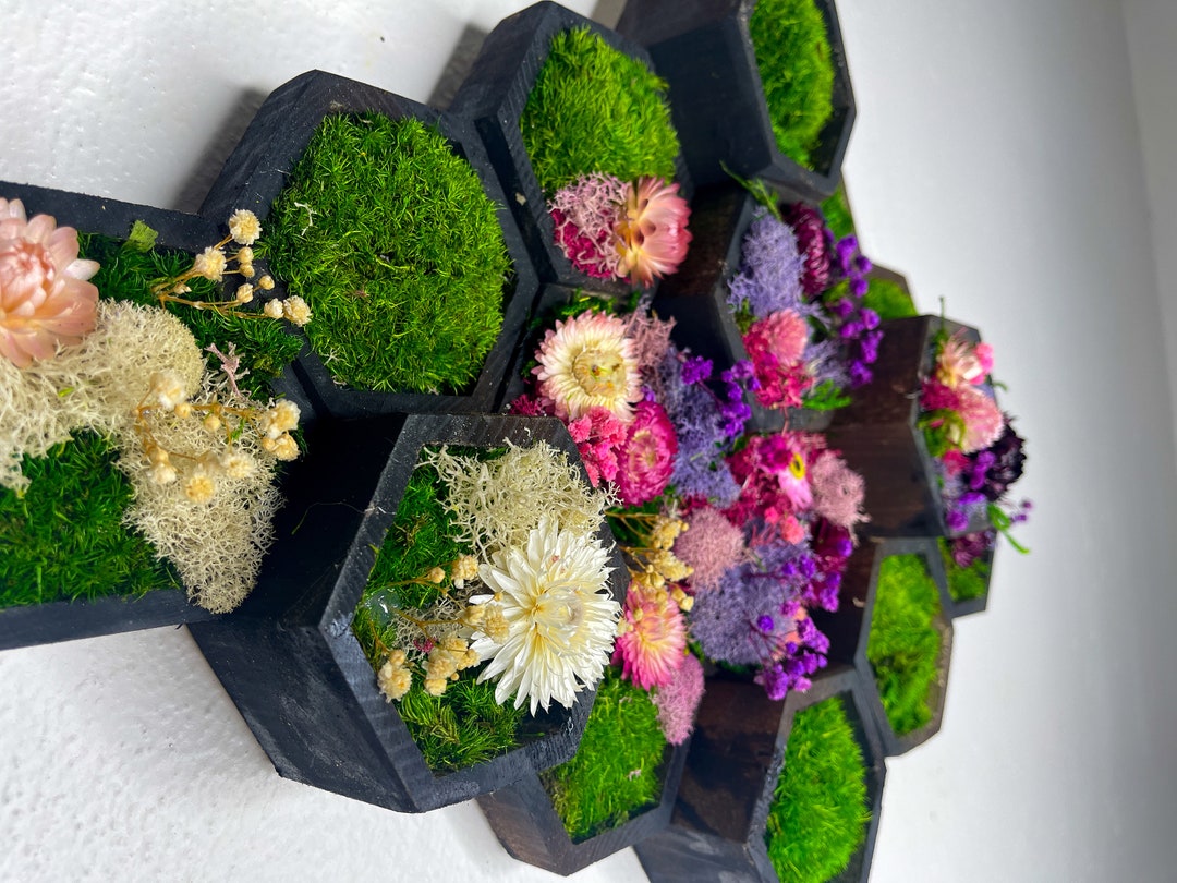 Hexagon Preserved Moss Wall Sculpture, Moss Art, Living Plant Wall ...