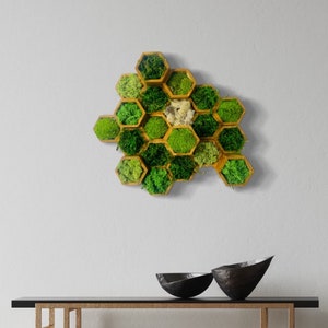 Preserved Moss Honeycomb Hexagon Moss Wall Sculpture Hexagonal Nature ...