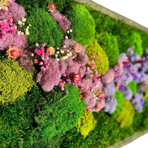 Starburst Moss Wall Art - Etsy