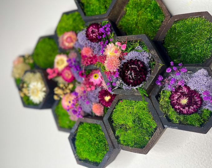 Hexagon Moss Hanging Sculpture Floral Living Wall Art Preserved Moss ...