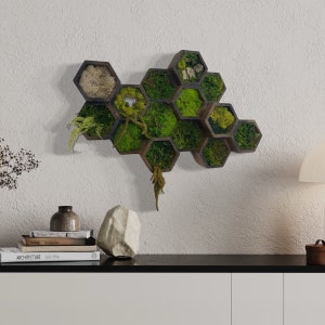 Hexagon Moss Hanging Sculpture Living Wall Art Preserved Moss Hexagonal ...