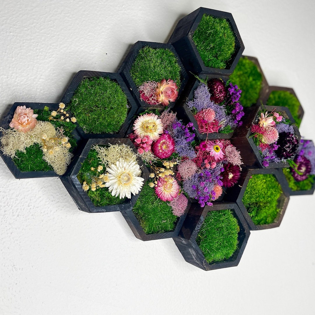 Hexagon Moss Hanging Sculpture Floral Living Wall Art Preserved Moss ...