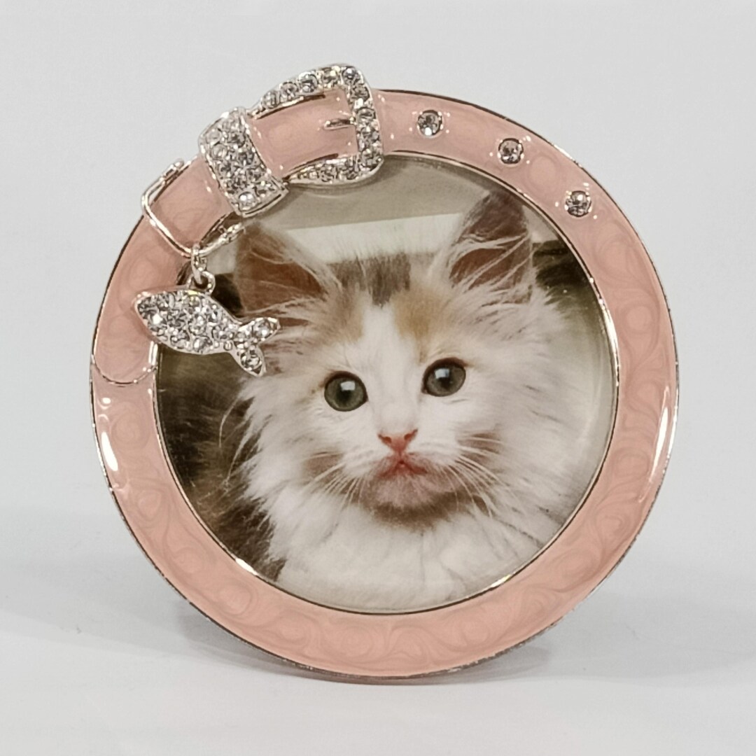 Cat Picture Frame Pink Silver Cat Collar Frame Rhinestone Buckle Fish ...