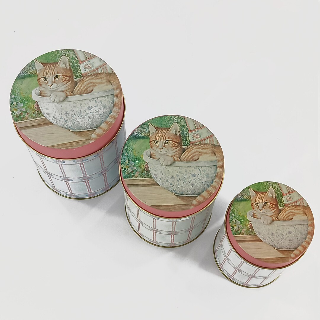 Cat Canister Set: Tiger Kitten–pastel Blue Pink Tins–set of 3–vintage ...