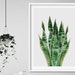 Plant Poster, Botanical Print, Succulent Print, Leaf Print, Tropical ...