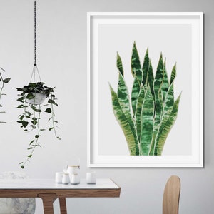 Plant Poster, Botanical Print, Succulent Print, Leaf Print, Tropical ...