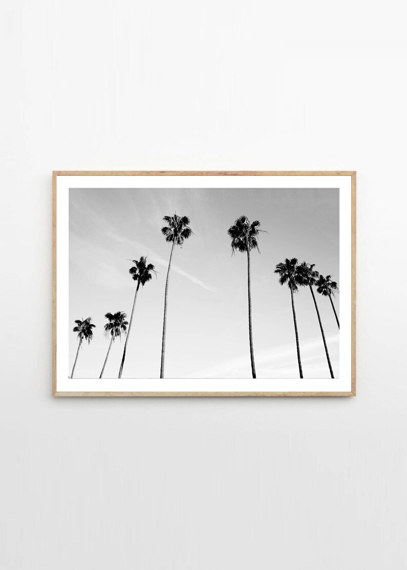 Palm Tree Print Tropical Decor Plant Print Printable Art - Etsy