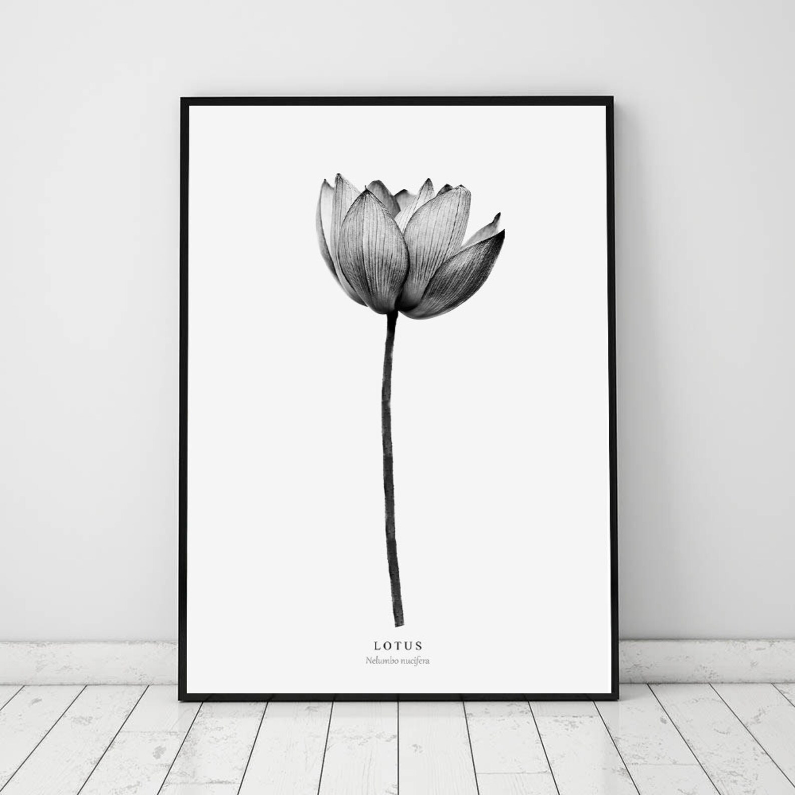 Lotus Printflower Printfashion Posterfashion Wall Artart | Etsy