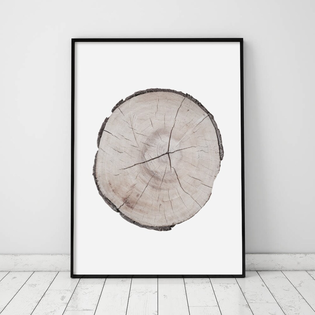 Tree Ring Photo, Living Room Print, Tree Ring, Wall Art, Kinfolk Decor ...
