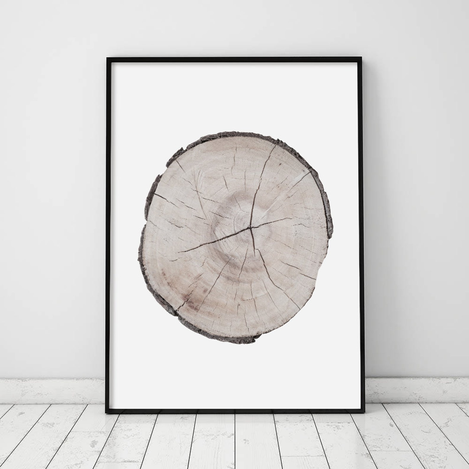 Tree Ring Photo Living Room Print Tree Ring Wall Art | Etsy