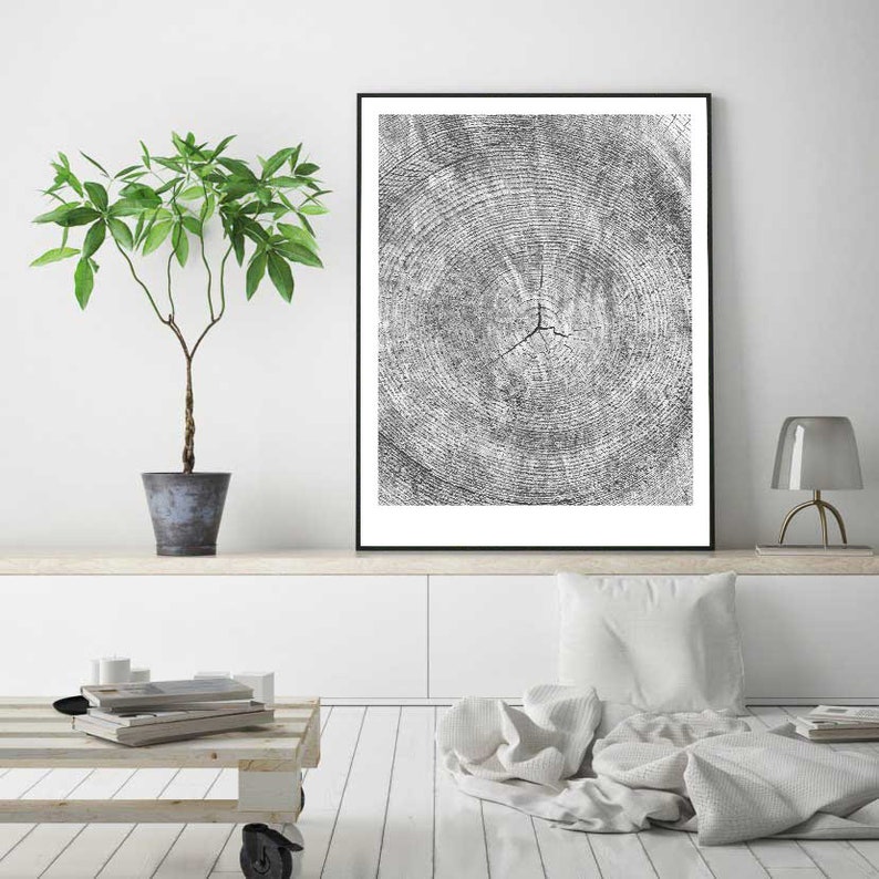 Tree Rings Print Nature Prints Tree Print Nature Form - Etsy