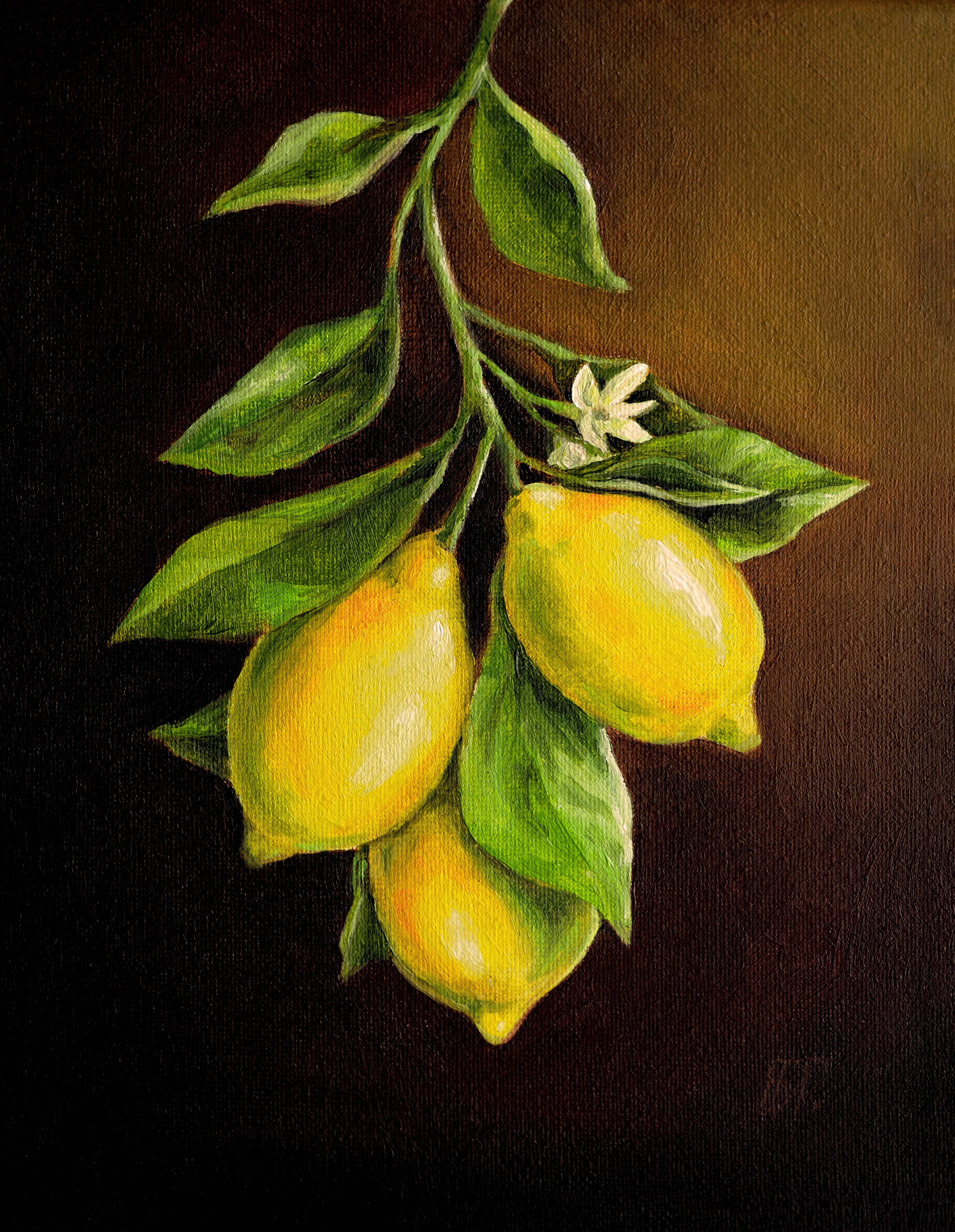 Lemon Oil Painting Lemon Art Print Unframed Lemons Oil Print - Etsy