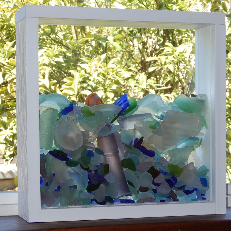 Sea Shell Display - Etsy