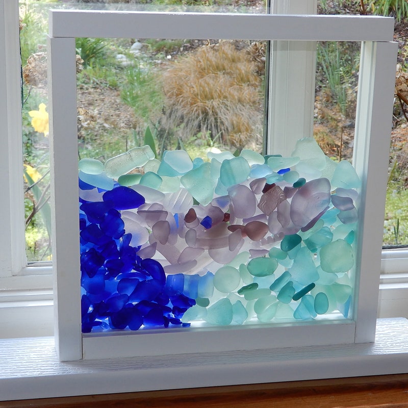 Sea Shell Display - Etsy