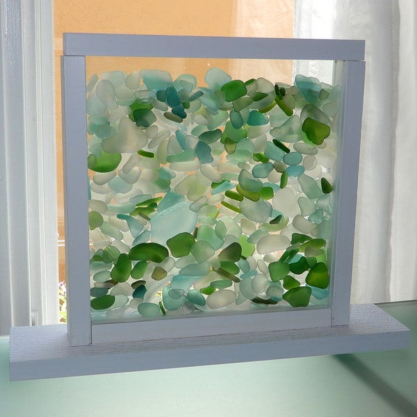 Sea Shell Display - Etsy
