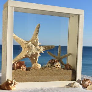 Junior Designer Stand up Sea and Beach Glass Display Window - Etsy